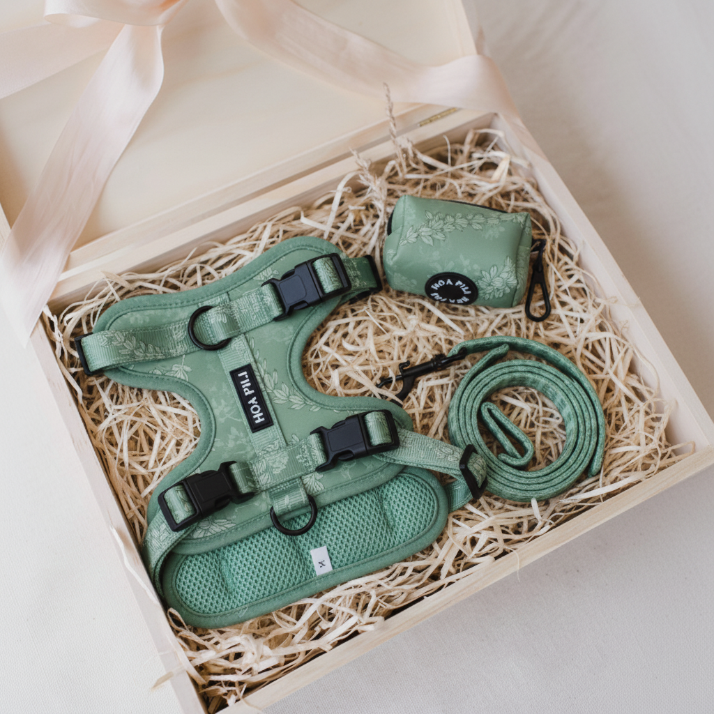Pakalana Twist - Pili Pack - Adjustable Harness Walk Kit – LEIOHU DESIGNS